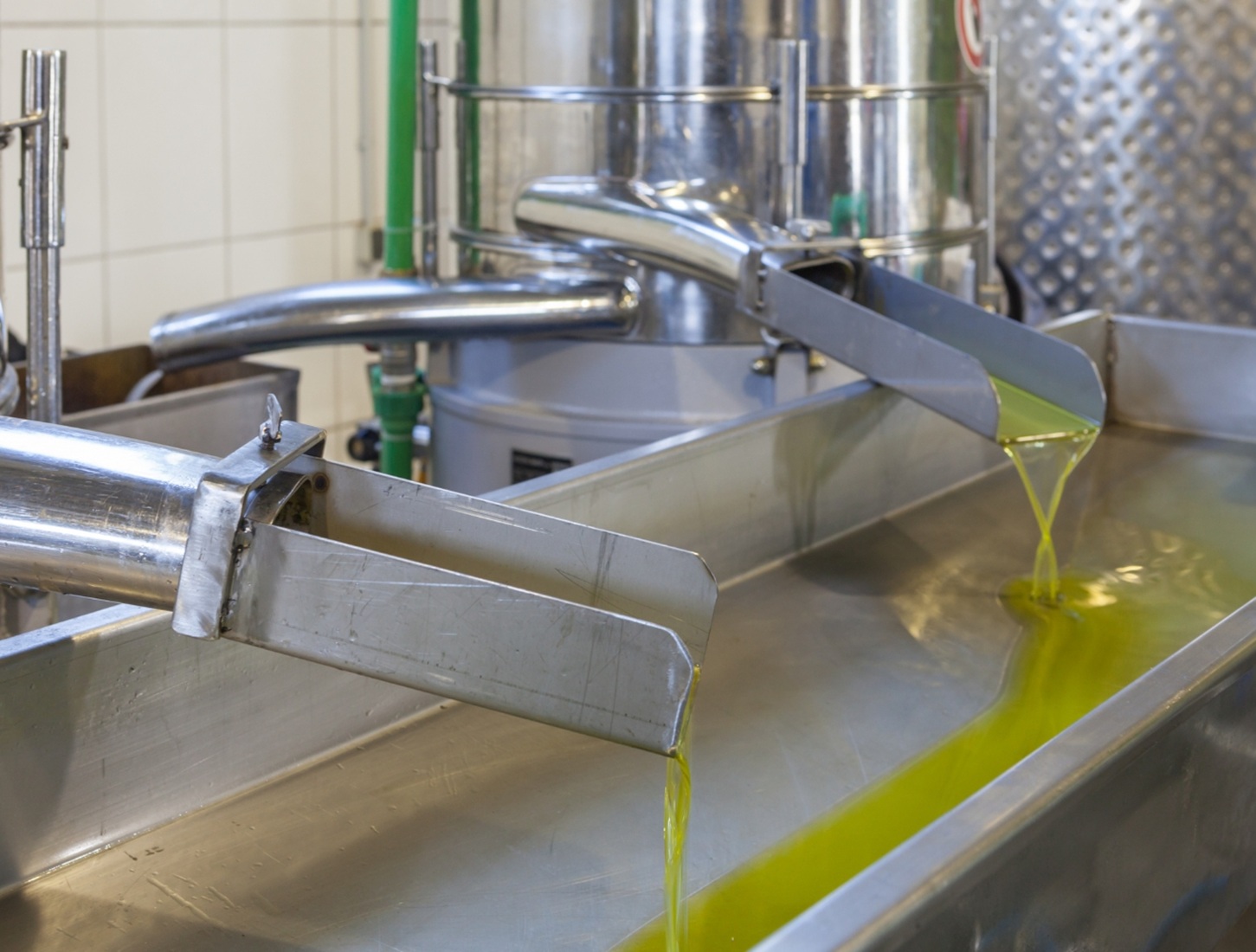 Μ.Παπαδάκης: Μειωμένη στο μισό η φετινή παραγωγή ελαιολάδου» – Εκκίνηση ...